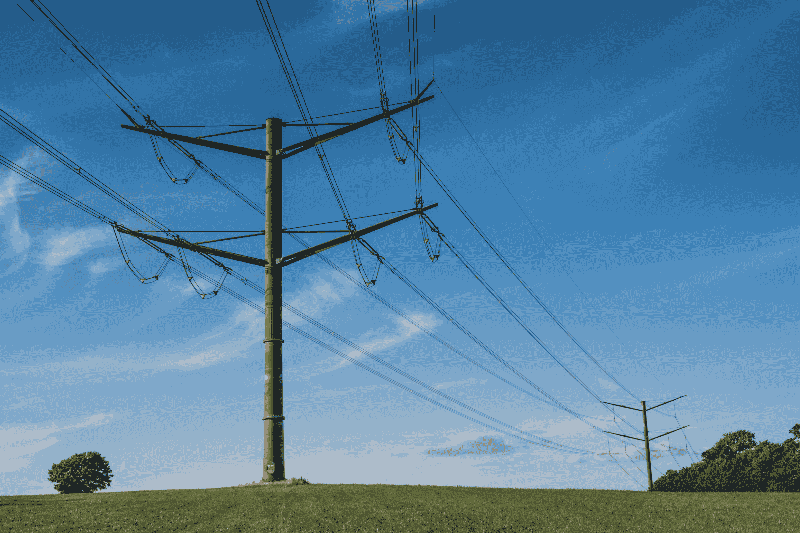 Husk din landboforening, hvis du blive berørt af den nye elmotorvej - LFMO